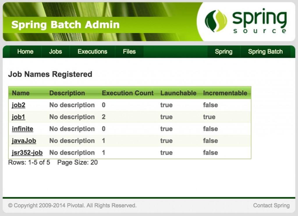 Spring Batch Read From File And Write To Database From Form